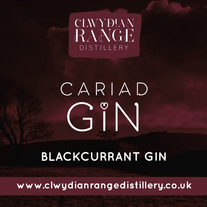 Cariad Gin - Blackcurrant Gin 500ml
